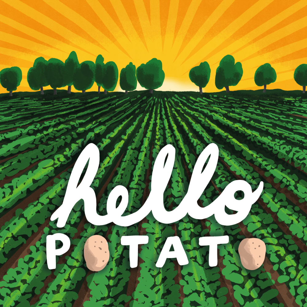 Hello Potato (Zine #4) - A Patchwork Province